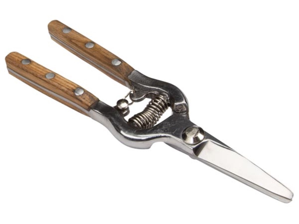 Toolland DT92004: PRUNING SHEAR WITH WOODEN HANDLE - POINTED BLADE ...