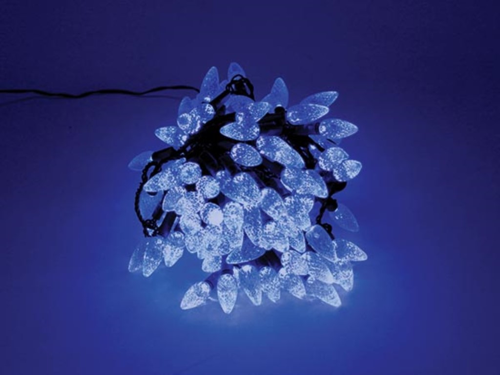 Light Creations SL-LED-12-24V-B: Strawberry Light LED - 12 m - 120 blue ...
