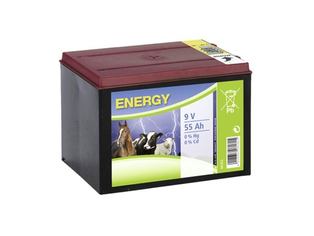 Corral COR441212: Zinc-carbon dry battery, 9 V, 55 Ah, small case ...